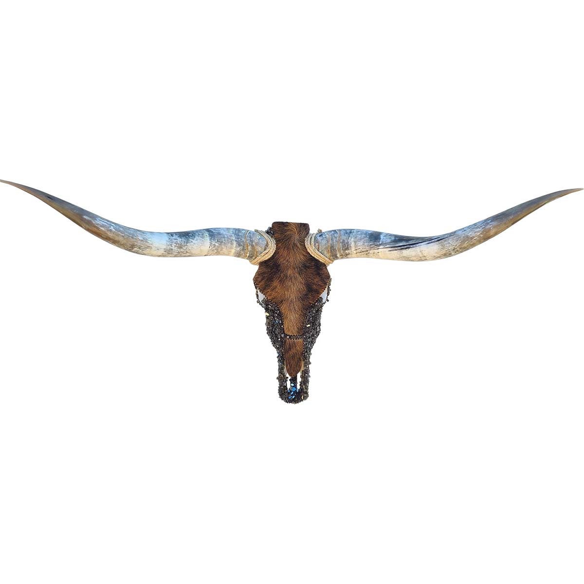 Authentic Longhorn Skull with Brindle Cowhide & Bronze Glass | Lone ...