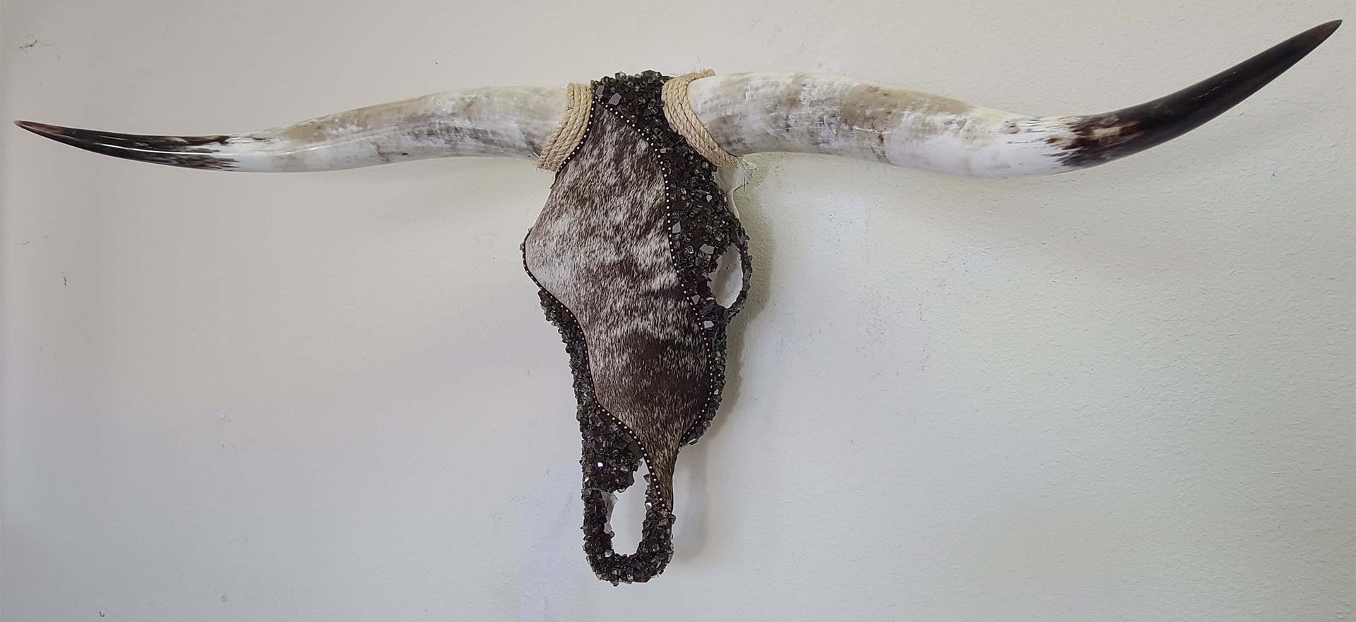 Authentic Longhorn Skull with Brindle Cowhide & Bronze Glass Bands ...