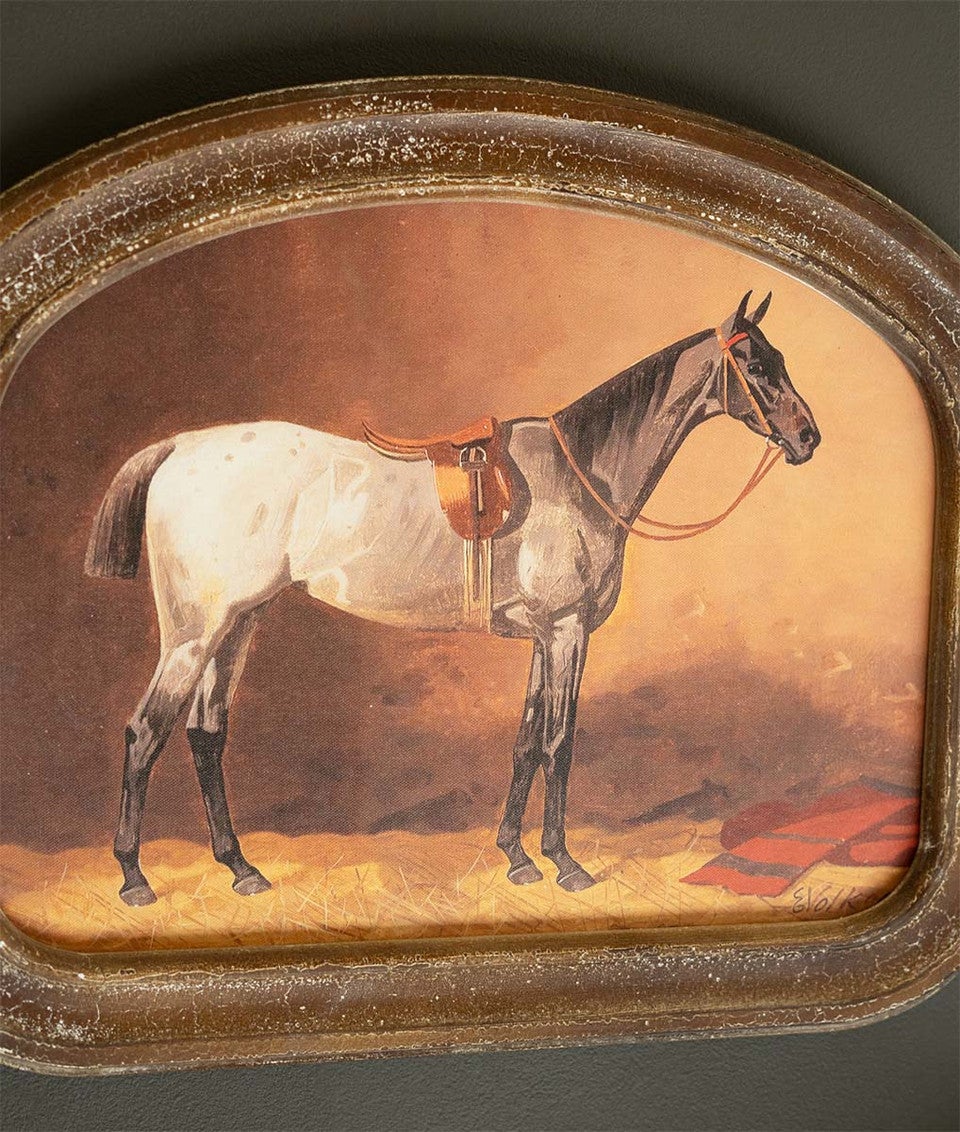 Framed Equine Antique Wall Art - Set of 2 | Lone Star Western Decor